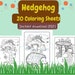 Hedgehog Coloring Pages, Cute Hedgehog Coloring Book for Kids, Hedgehog ...