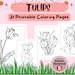 Flower Coloring Pages, Beautiful Tulips Coloring Book for Kids, Teens ...