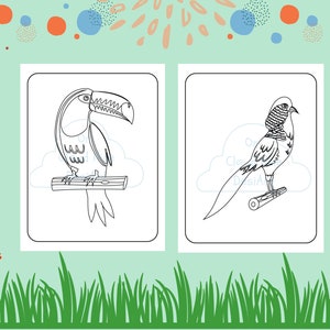 Bird Coloring Pages, Birds Coloring Book for Kids, Bird Printable ...