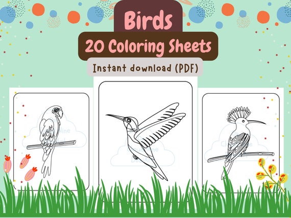 Bird Coloring Pages Birds Coloring Book for Kids Bird | Etsy