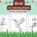 Bird Coloring Pages, Birds Coloring Book for Kids, Bird Printable ...