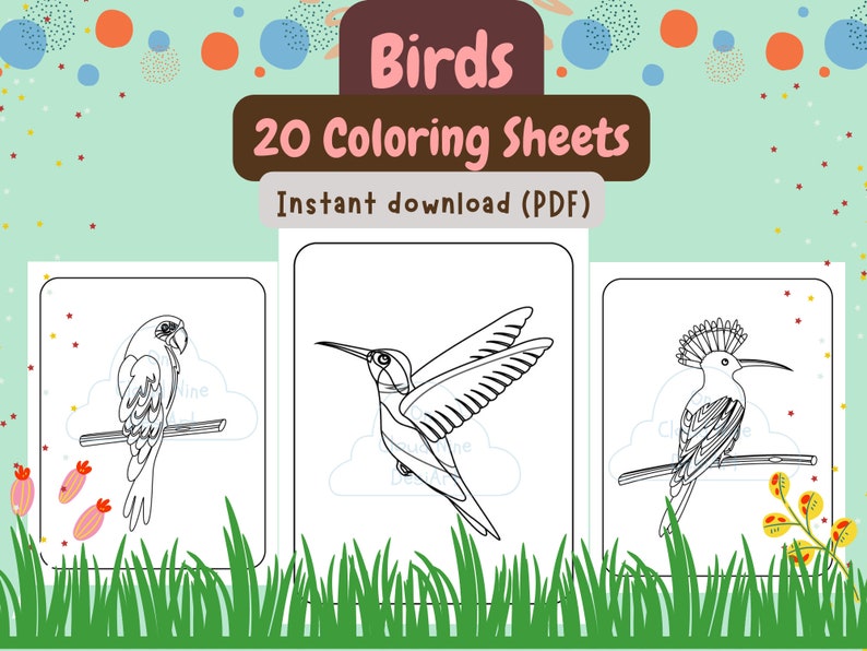Bird Coloring Pages, Birds Coloring Book for Kids, Bird Printable ...