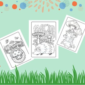 Hedgehog Coloring Pages, Cute Hedgehog Coloring Book for Kids, Hedgehog ...