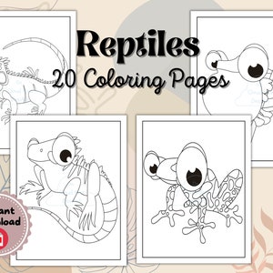 Reptile Coloring Pages, Reptile Coloring Book, Reptile Printable ...