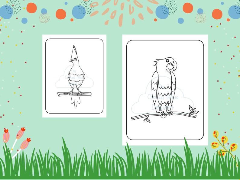 Bird Coloring Pages, Birds Coloring Book for Kids, Bird Printable ...