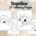 Reptile Coloring Pages, Reptile Coloring Book, Reptile Printable ...