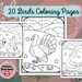 Birds Printable Coloring Pages, Birds Coloring Book Kids Bird, Bird ...