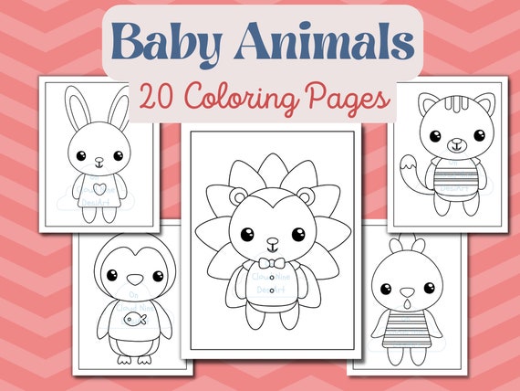 Baby Animal Coloring Pages Safari Coloring Book Jungle | Etsy