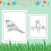 Bird Coloring Pages, Birds Coloring Book for Kids, Bird Printable ...