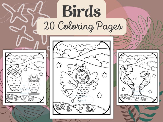Birds Printable Coloring Pages Birds Coloring Book Kids Bird - Etsy