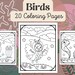 Birds Printable Coloring Pages, Birds Coloring Book Kids Bird, Bird ...