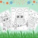 Owl Coloring Pages, Cute and Adorable Owl Coloring Book for Kids, Owl ...