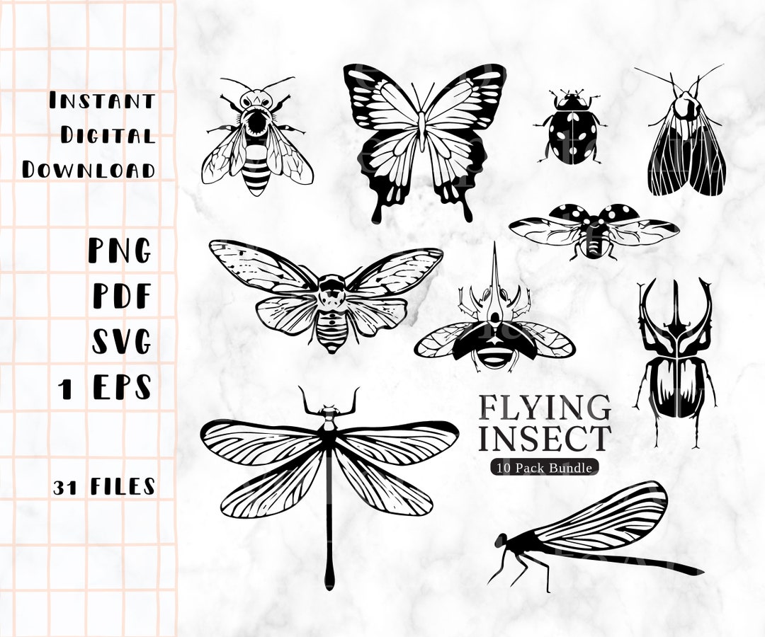 Victorian Flying Insect SVG Bundle, Butterfly, Dragonfly, Bee (digital ...