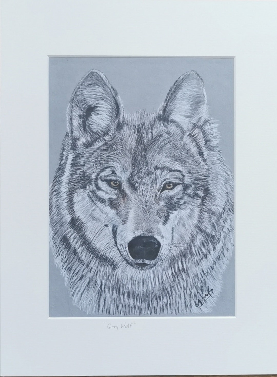 Grey Wolf Art Print - Etsy