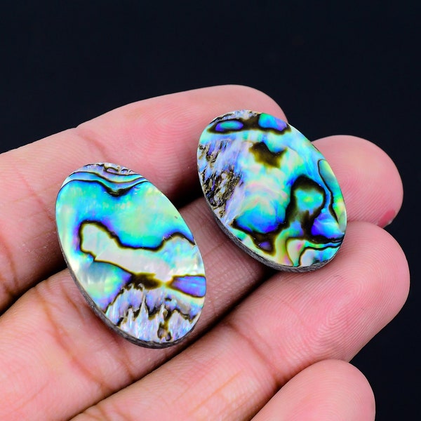 Blue Abalone Shell - Etsy