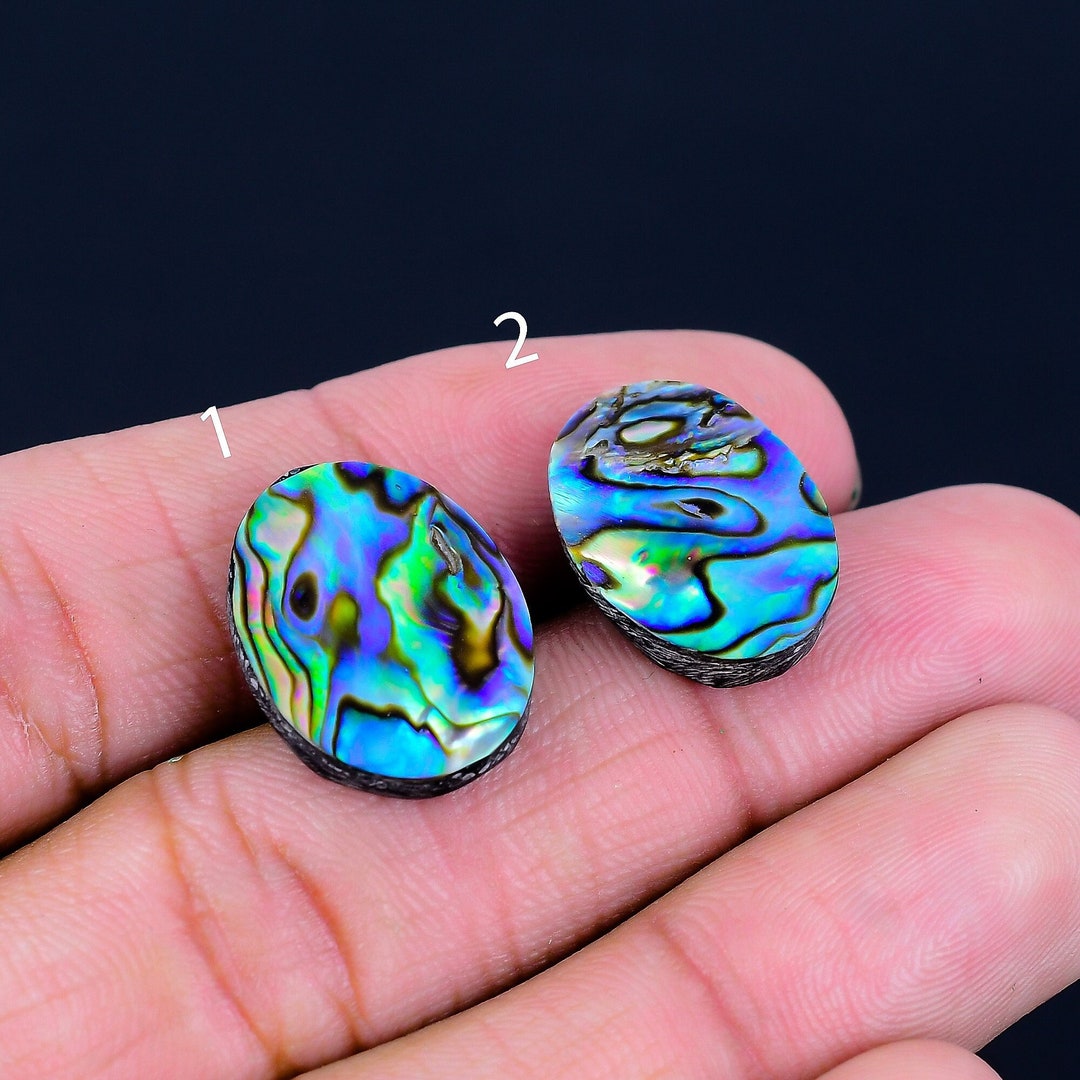 Unheated Blue Abalone Shell Gemstone Natural 12.75 Cts Abalone Shell ...