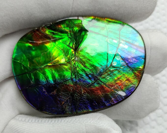 Beautiful Natural Ammolite Gemstone Fire Ammolite Smooth Fancy Shape ...