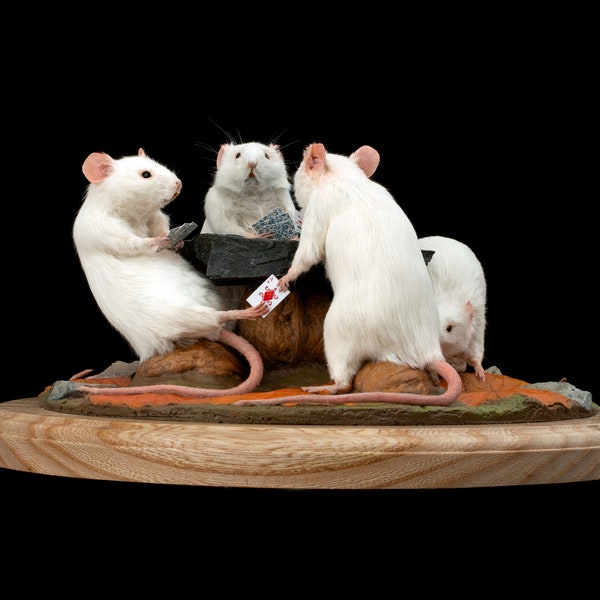 Taxidermy Cards - Etsy