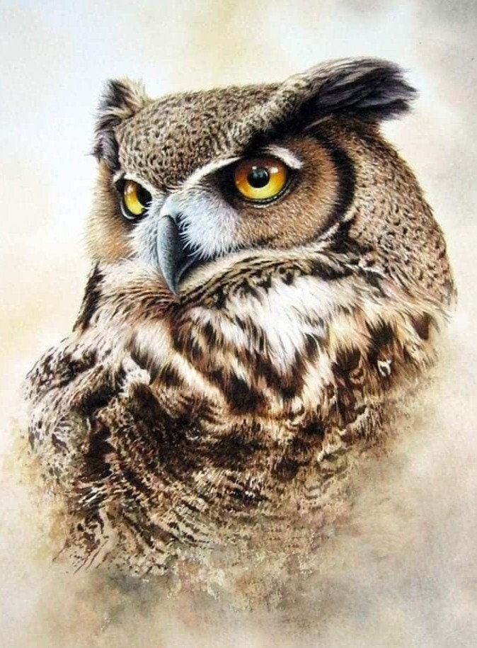 Brown Owl Counted Cross Stitch Pattern Animals Instant - Etsy UK