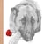 Black Pug Dog Art Birthday Congratulations Well Done Greetings/note ...