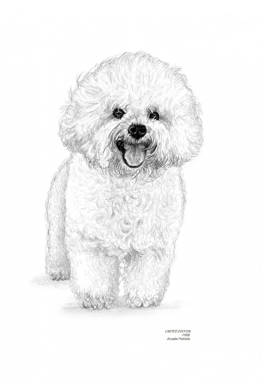 Bichon Frise no.1 Art Drawing Prints A4/A3 Size - Etsy