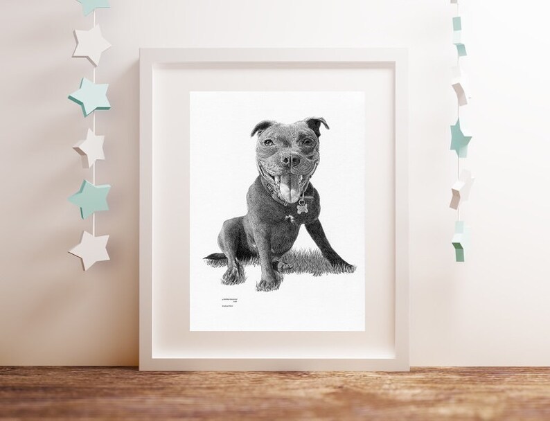 Staffordshire Bull Terrier Staffie, Staffy Dog no.6 Art Drawing Prints ...