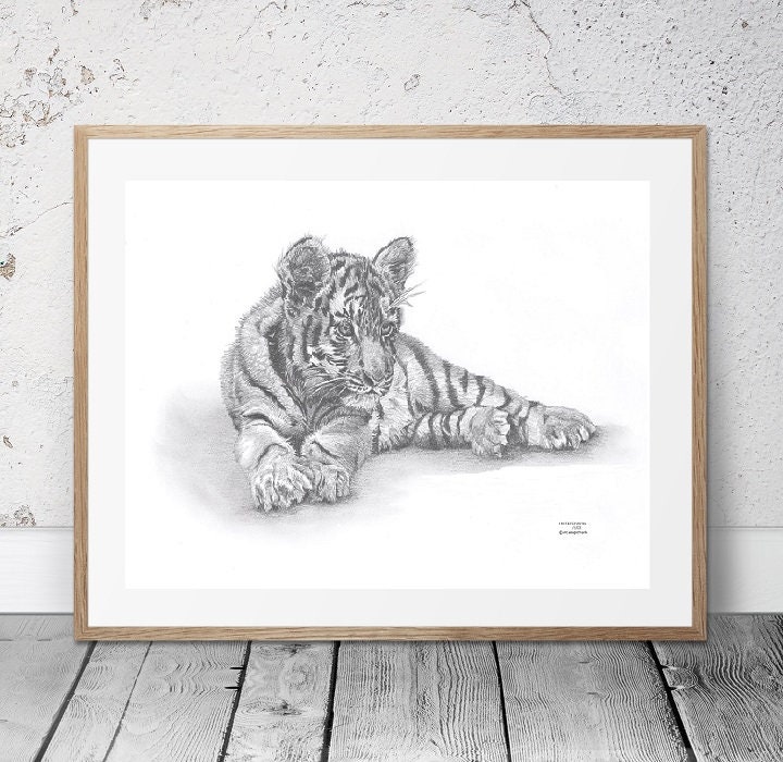 Tiger Cub Art Drawing Prints A4/A3 Size, Greetings/note Card card Can ...