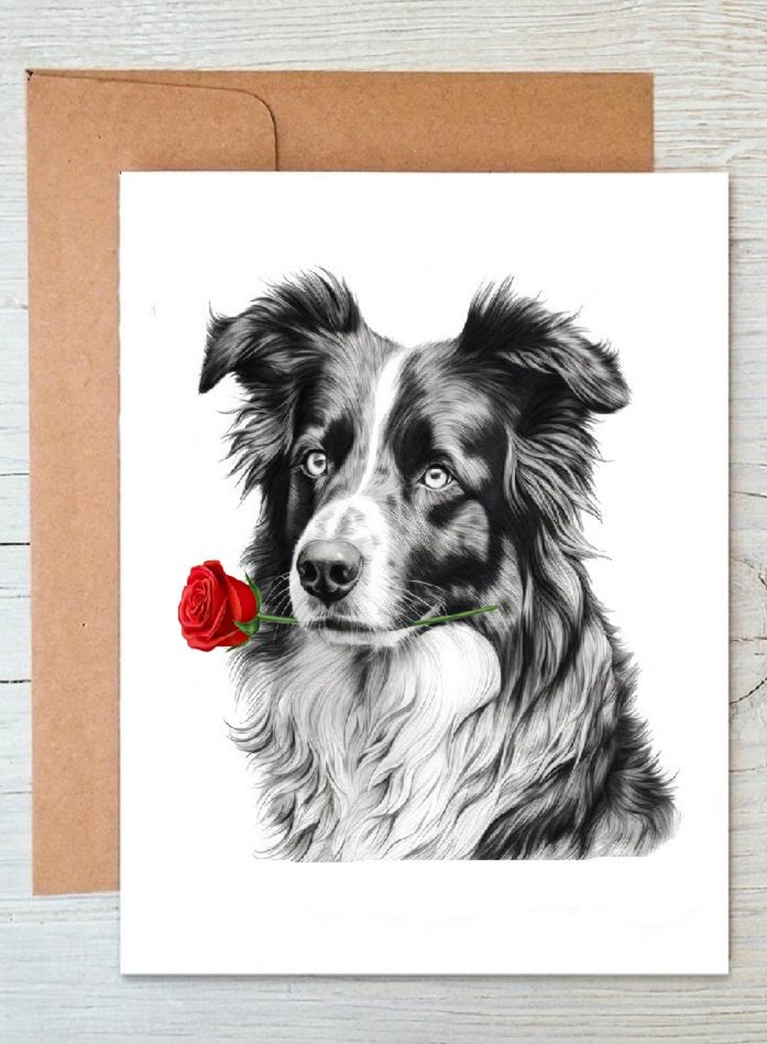 Border Collie (no.13) Love Card Valentines Card Anniversary Card ...
