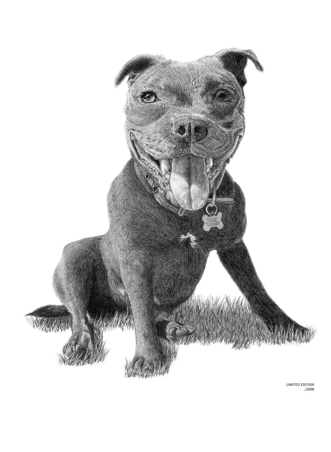 Staffordshire Bull Terrier Staffie, Staffy Dog no.6 Art Drawing Prints ...