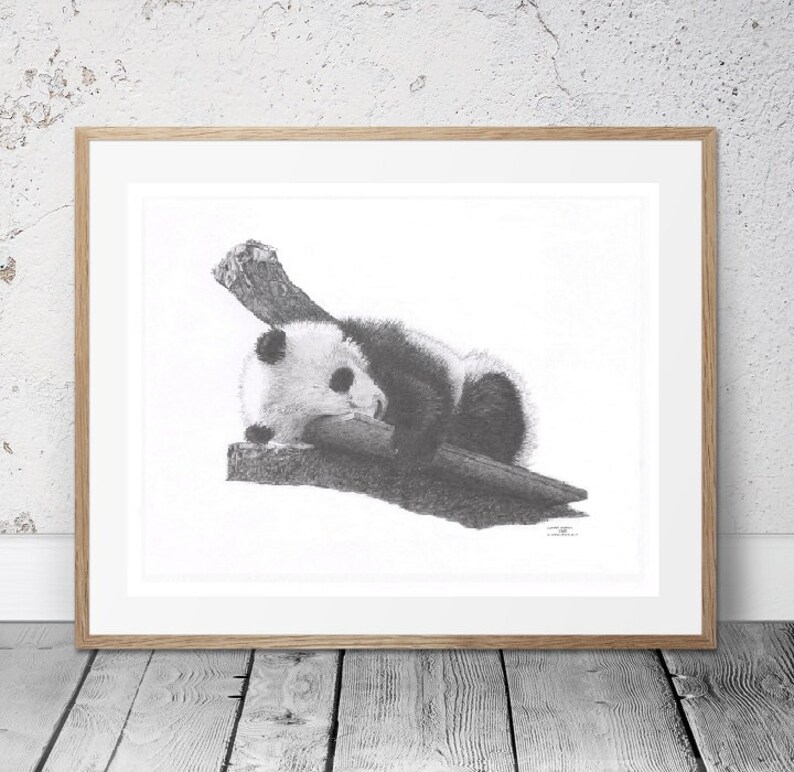 Panda Cub Art Drawing Prints A4/A3 Size, Greetings/note Card card Can ...