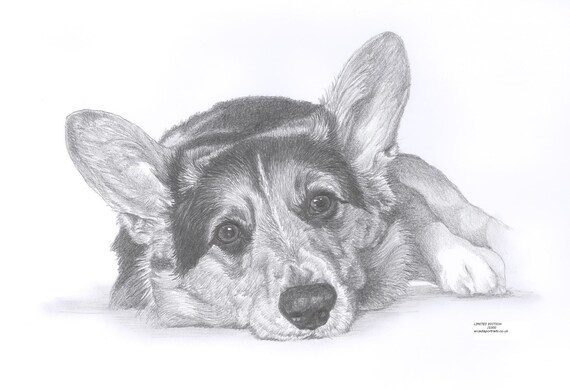 Corgi Dog Art Drawing Prints A4/A3 Size Greetings/note Card | Etsy