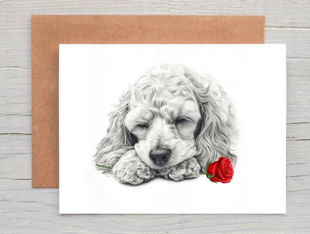 Cockerpoo Cockapoo (no. 6) Cavapoo Love Card Valentines Card ...