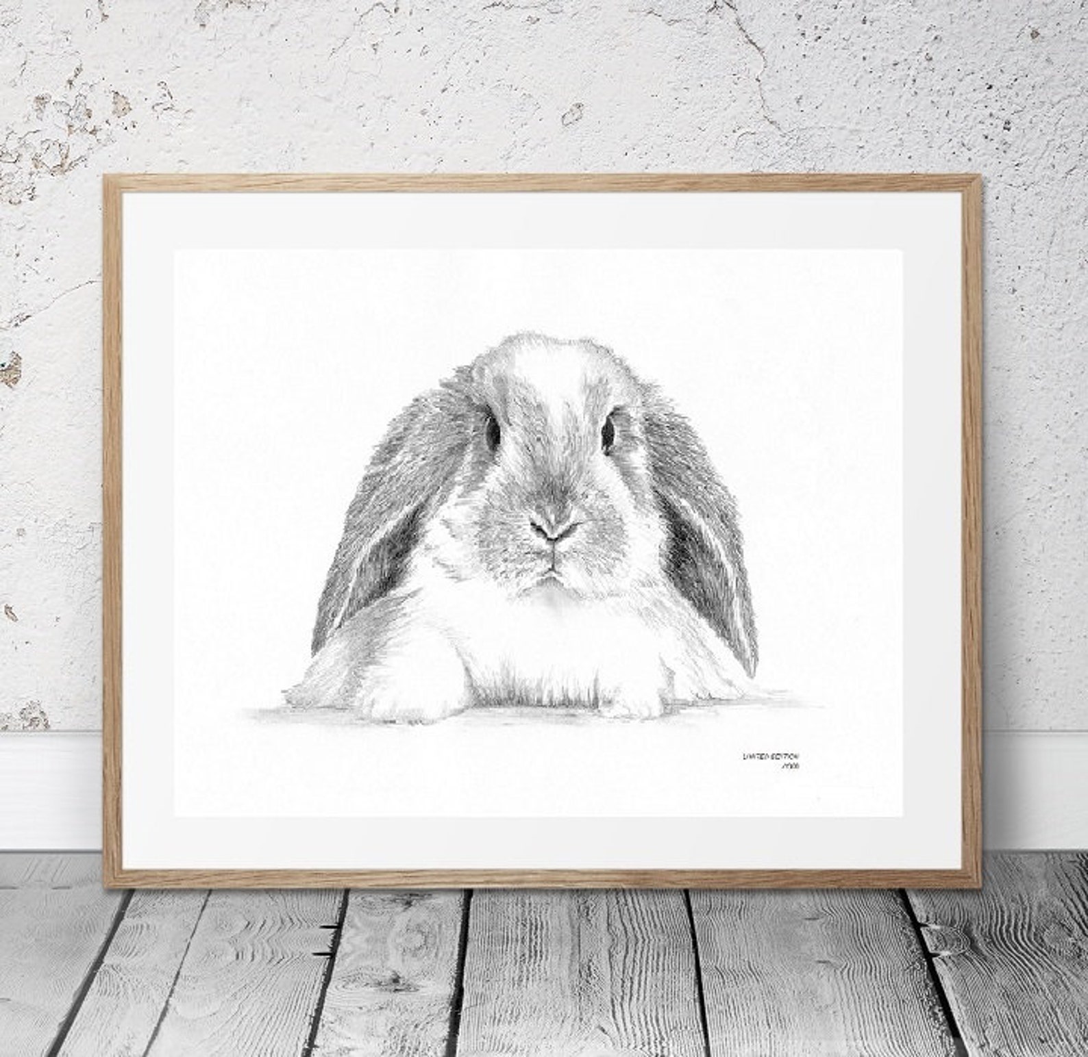 Lop Eared Rabbit Bunny no.1 Art Drawing Prints A4/A3 Size, Greetings ...