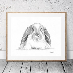 Lop Eared Rabbit Bunny no.1 Art Drawing Prints A4/A3 Size, Greetings ...