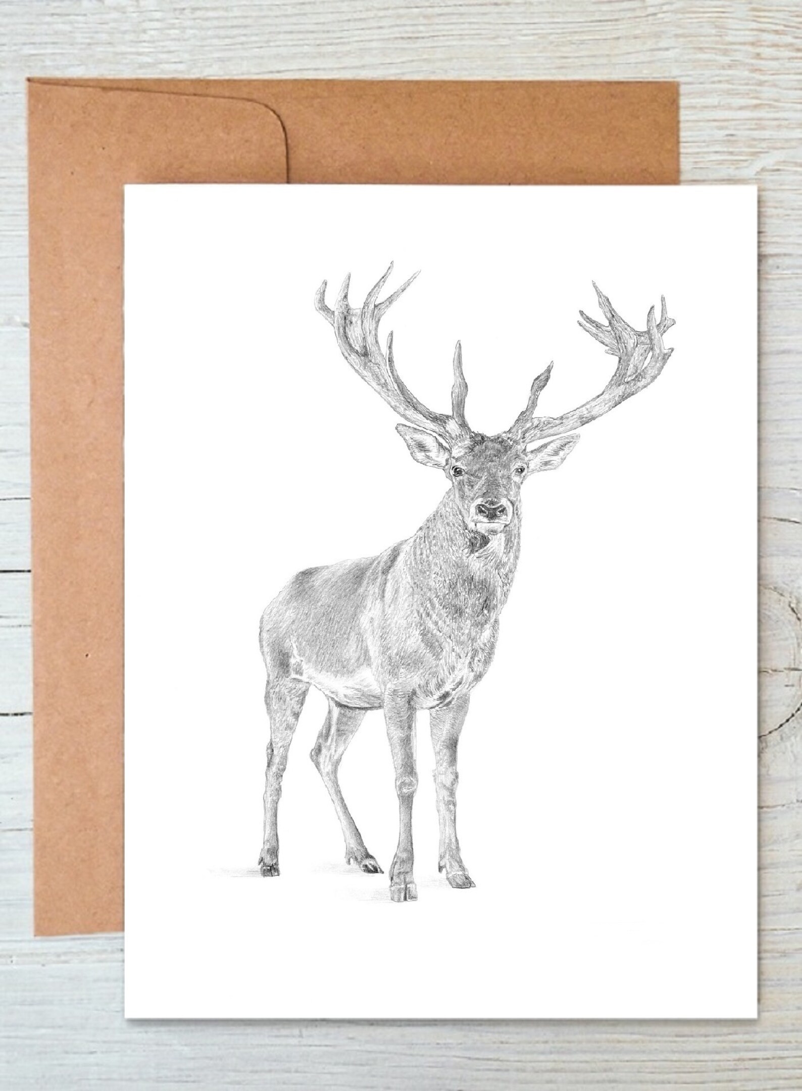 Stag, Male Red Deer Art Drawing Prints A4/A3 Size, Greetings/note Card ...