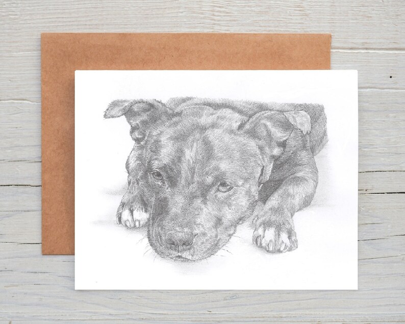 Staffordshire Bull Terrier, Staffie, Staffy Dog no.2 Art Drawing Prints ...