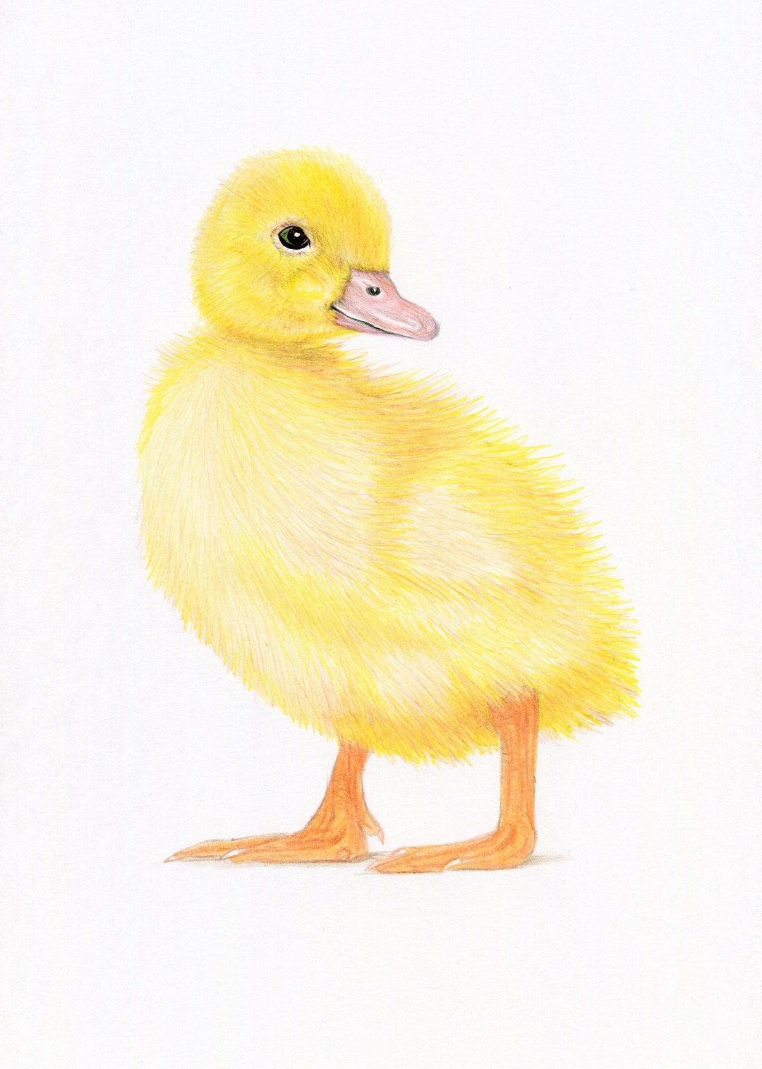 Dessin dart en couleur de caneton imprime la taille A4/A3, carte de ...