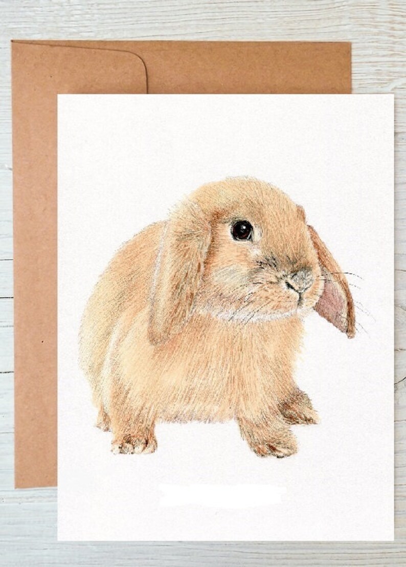 Lop Eared Rabbit Bunny Colour no.4 Art Drawing Prints A4/A3 - Etsy