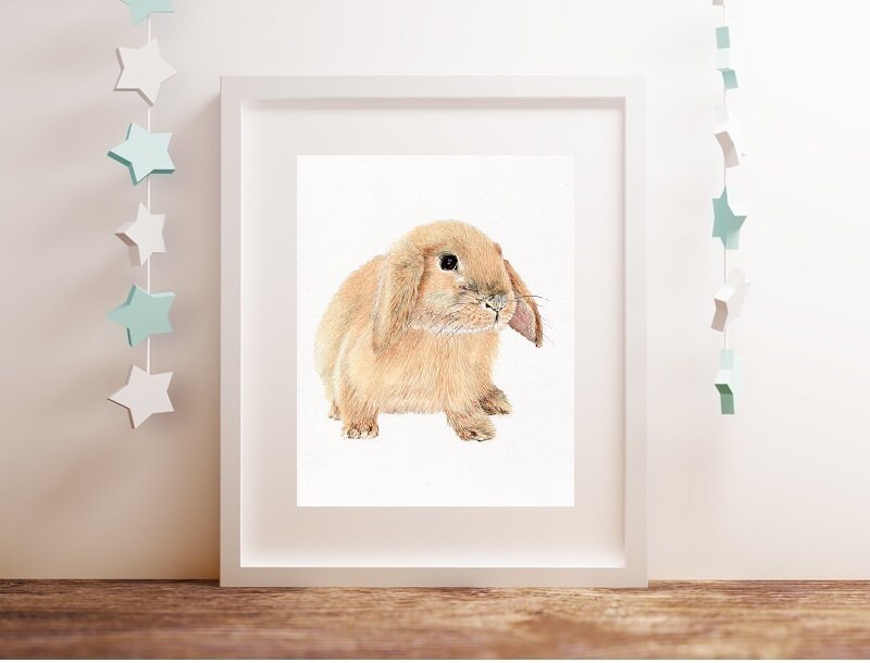 Lop Eared Rabbit Bunny Colour no.4 Art Drawing Prints A4/A3 - Etsy