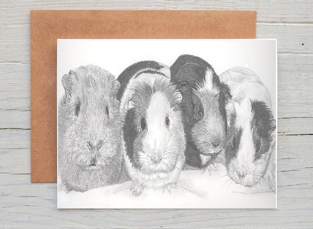 Guinea Pig Chums Art Greetings/note Card (can Be Personalised) / Art ...