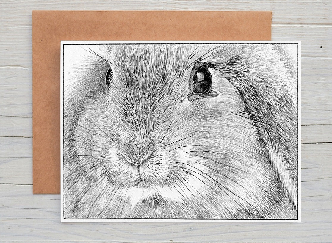 Lop Eared Rabbit Bunny no.3 Art Drawing Prints A4/A3 Size, Greetings ...