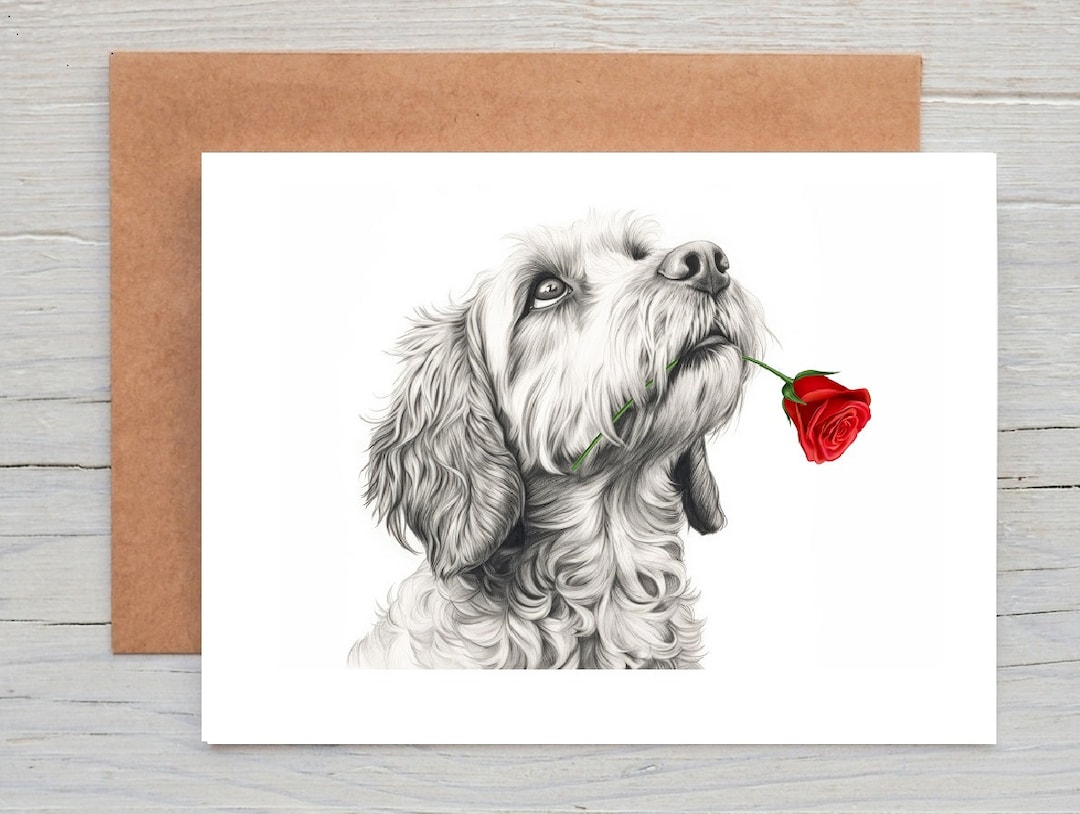 Cockerpoo Cockapoo (no. 9) Labradoodle Cavapoo Love Valentines ...