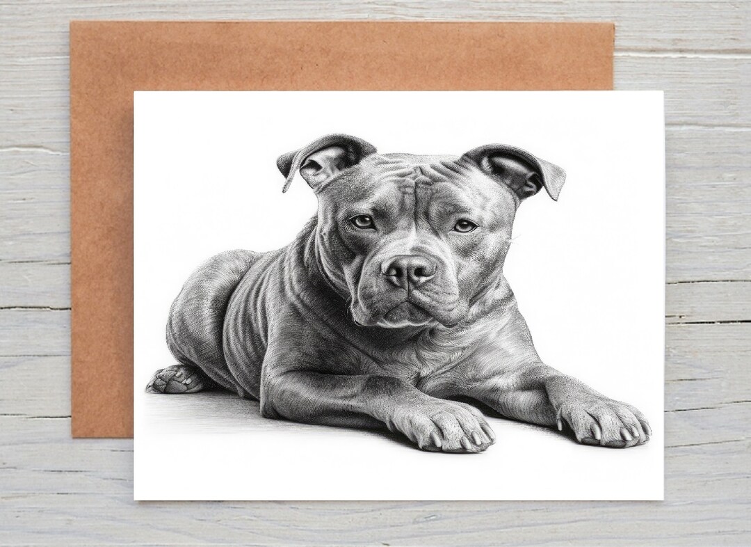 Staffordshire Bull Terrier Staffie,staffy (no.9) Dog Art Greetings/note ...