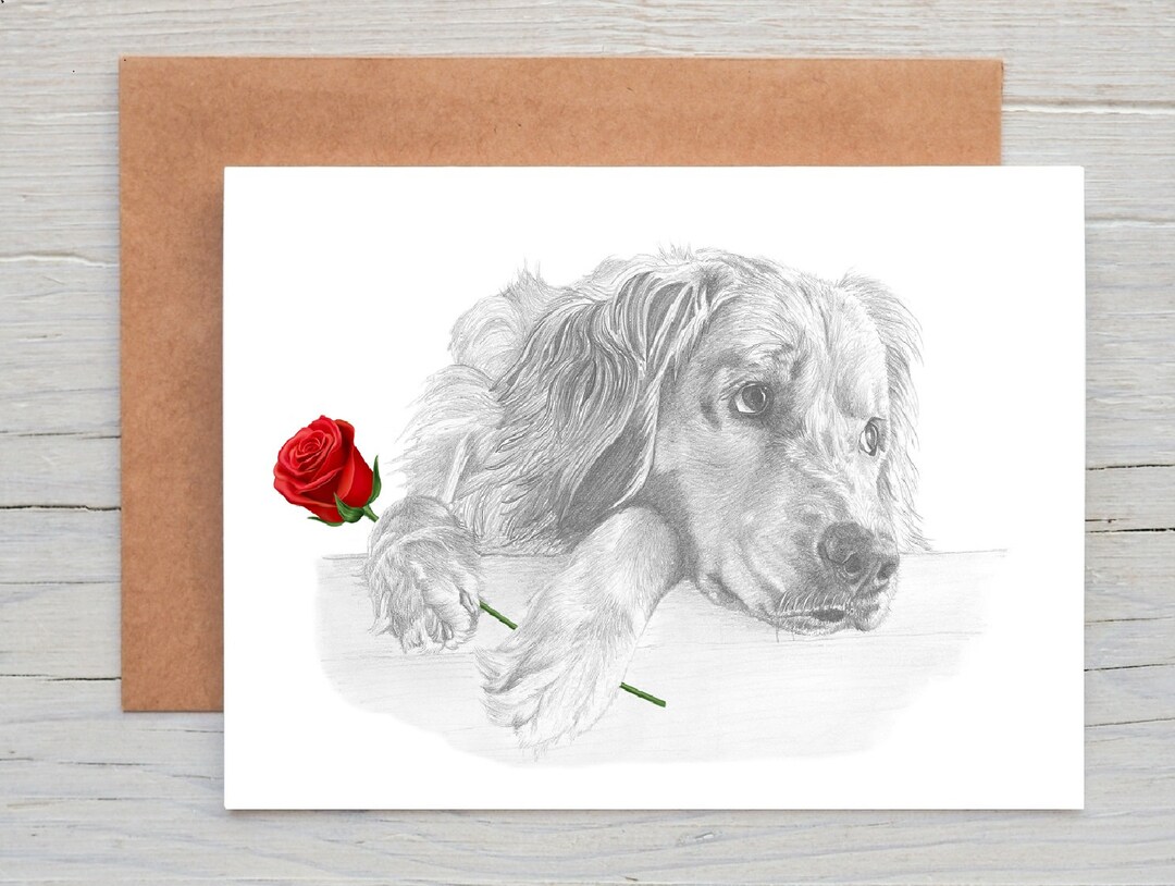Golden Retriever Labrador (no.1) Dog Love Valentines Anniversary ...