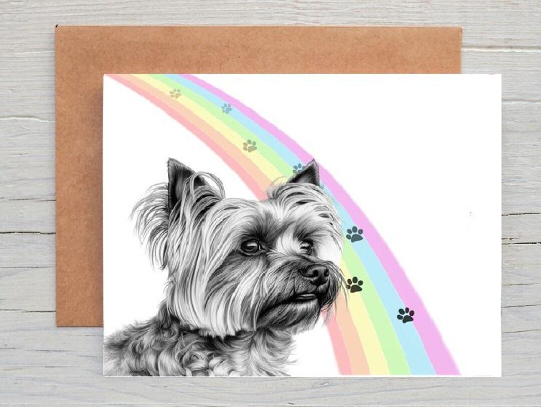 Yorkie Yorkshire Terrier (no. 6) Dog Pet Sympathy/condolence/loss/note ...