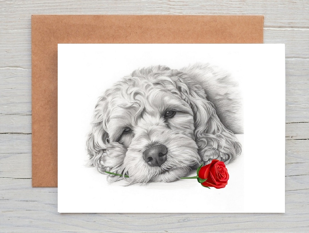 Cockerpoo Cockapoo (no. 8) Cavapoo Love Card Valentines Card ...
