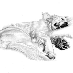 Golden Labrador Retriever Dog no:7 Art Drawing Prints A4/A3 - Etsy UK