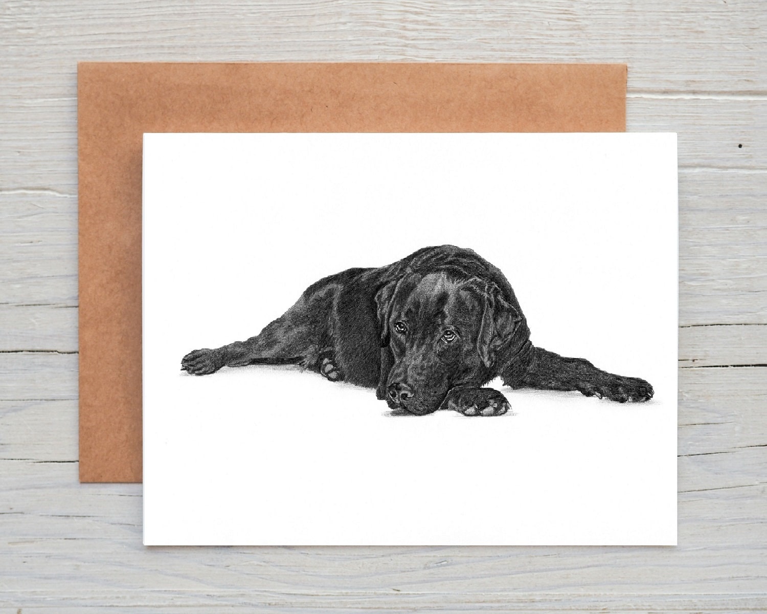 Black Labrador (no.2) Dog Art Greetings/note Card/print (can Be ...