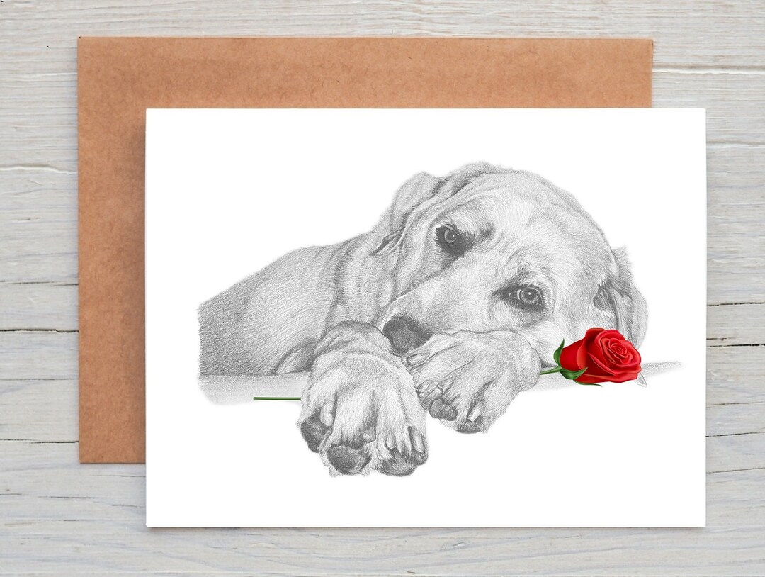 Labrador Golden Retriever Love Card, Valentines Card, Anniversary Card ...