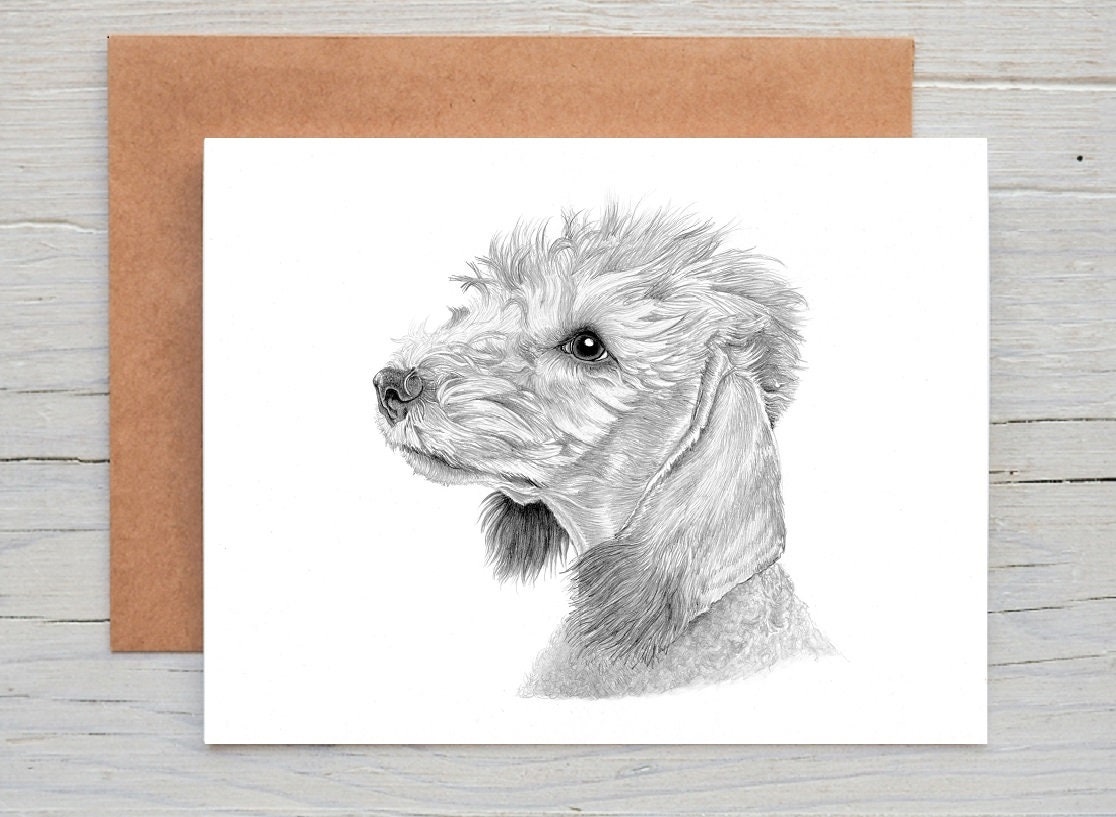Bedlington Terrier Beddy Whippet Lurcher Art Drawing Prints A4/A3 Size ...